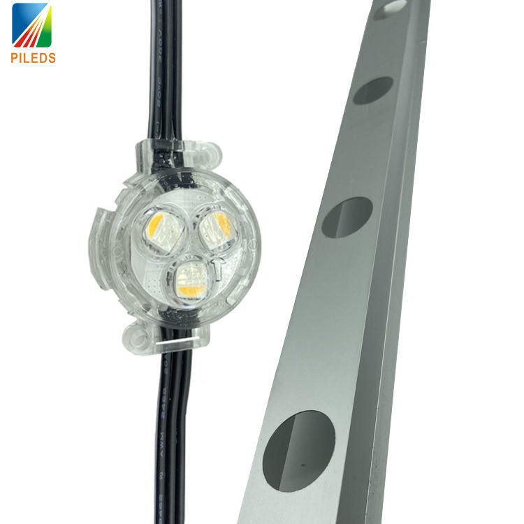 UCS2904 RGBW LED Point Light 30mm 12V Ip67 Smd 5050 For Christmas Holiday