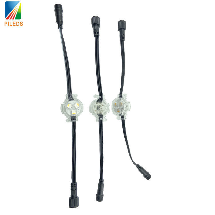 UCS2904 RGBW LED Point Light 30mm 12V Ip67 Smd 5050 For Christmas Holiday