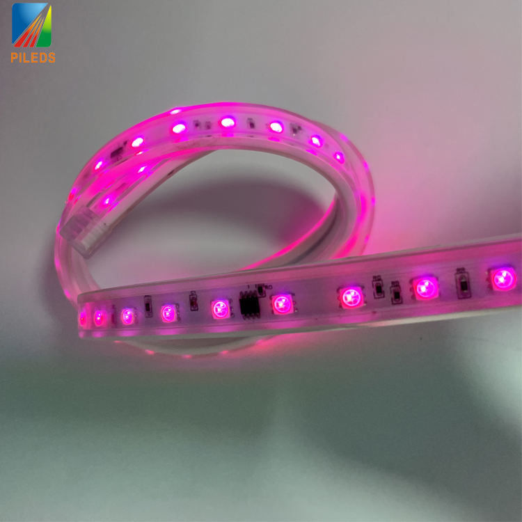 Dimmable LED Pixel Strip , Neon Flexible Strip Light Waterproof Remote ...